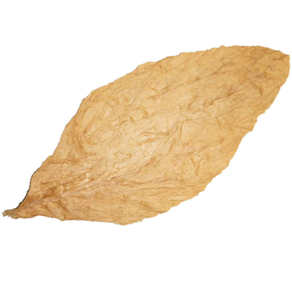 USA vs Ecuador Connecticut Shade Cigar Wrappers: A Smooth Comparison ...